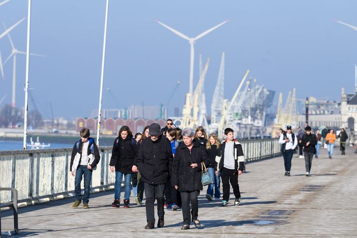 Valentijn schiet raak met heerlijke prille lentedag: heel Antwerpen ...