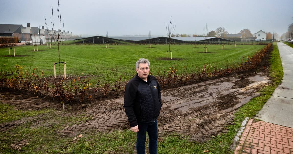 Ondernemersprijs voor pluimveehouder Twan Engelen in jaar dat hij zoon ...