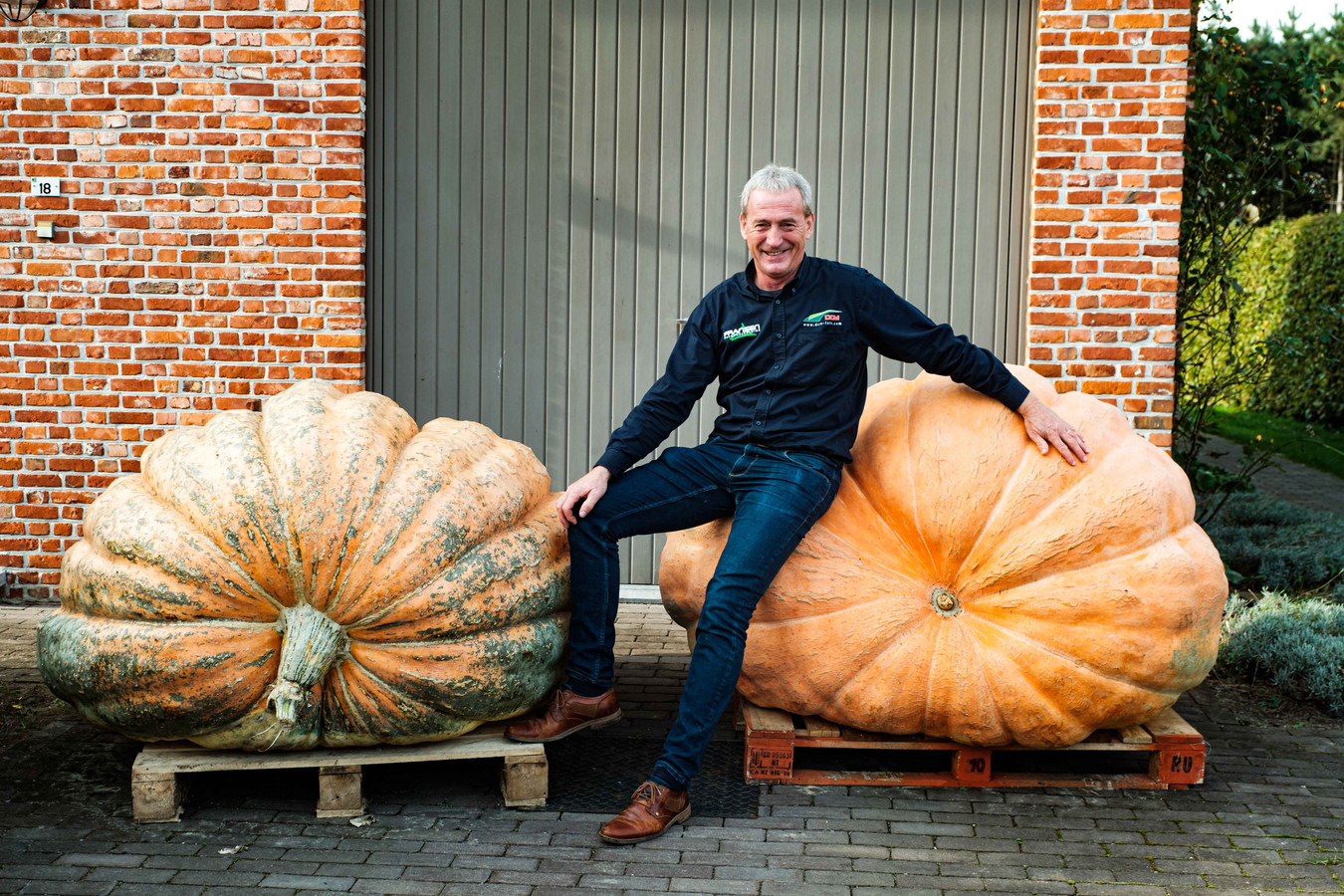 MIJN DORP. Paul Boonen over zijn Kasterlee: “Ik bewonder iedereen die ...
