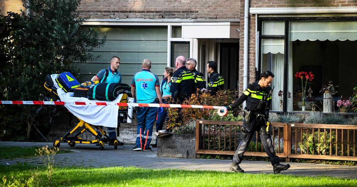 Dode vrouw in woning Alphen, twee mannen gearresteerd: 'Ging er heftig aan toe’ | Dood Arlette ...