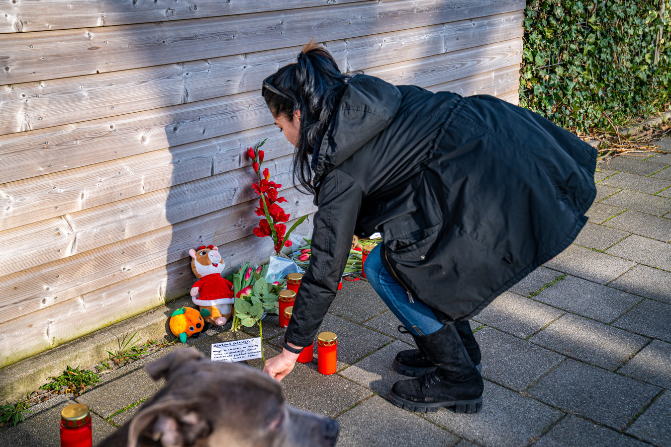 Verdachte van doodslag postbezorger in Hoogvliet blijft voorlopig vastzitten | Foto | AD.nl