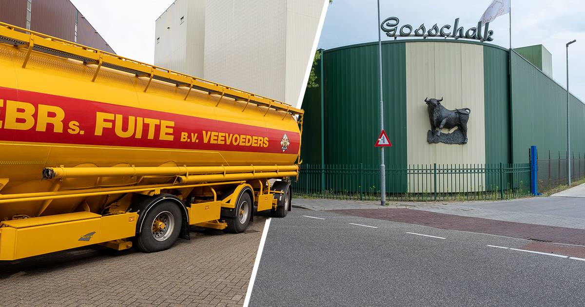 Fuite uit Genemuiden zet in op volledige overname van noodlijdende ...