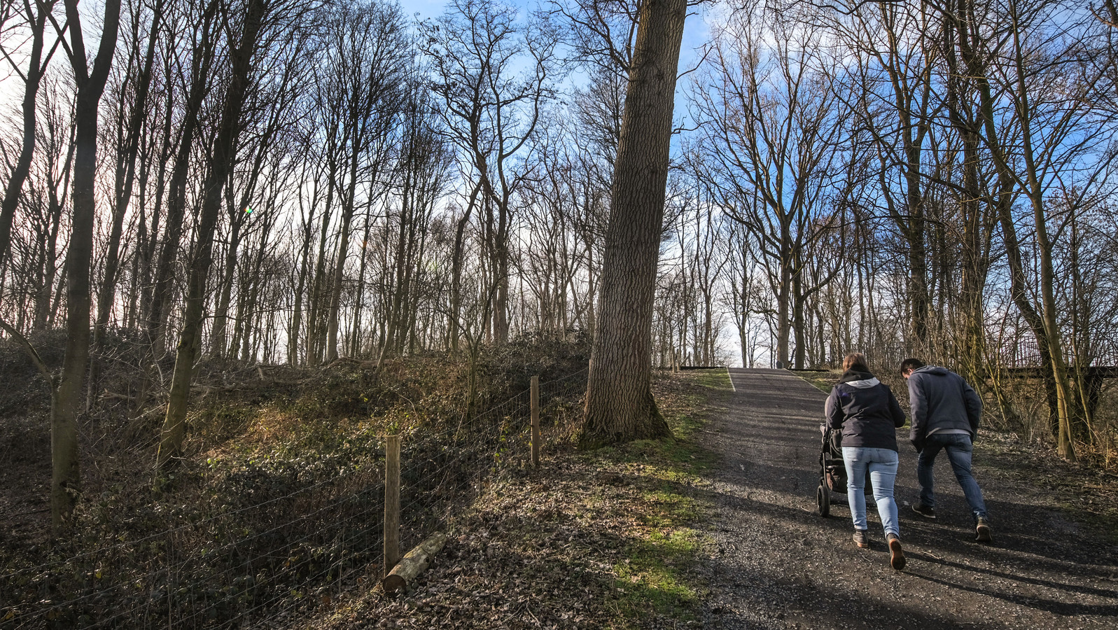 De Palingbeek, het grootste provinciedomein in de provincie, wordt 4,5 ...