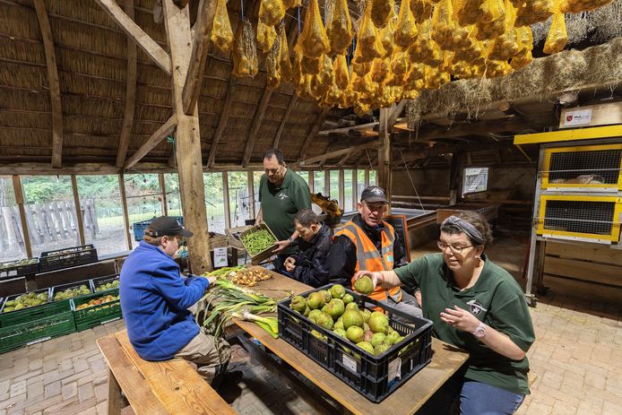 Joost is nu officieel gemeentewerker bij kinderboerderij De Kienehoef ...