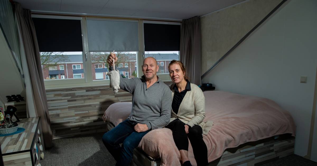 De ratten van Wim: hoe een man via zijn spouwmuur het vertrouwen in ...