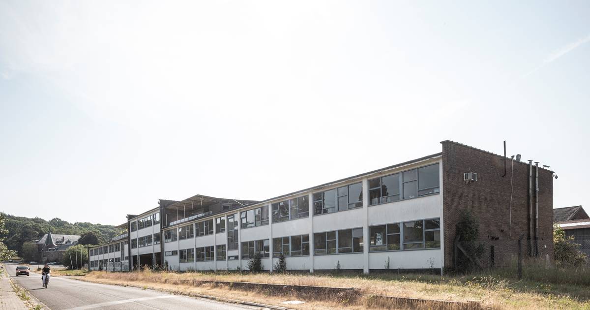 Tudorsite in Huldenberg krijgt opknapbeurt: “Nieuwe ruimte voor ...