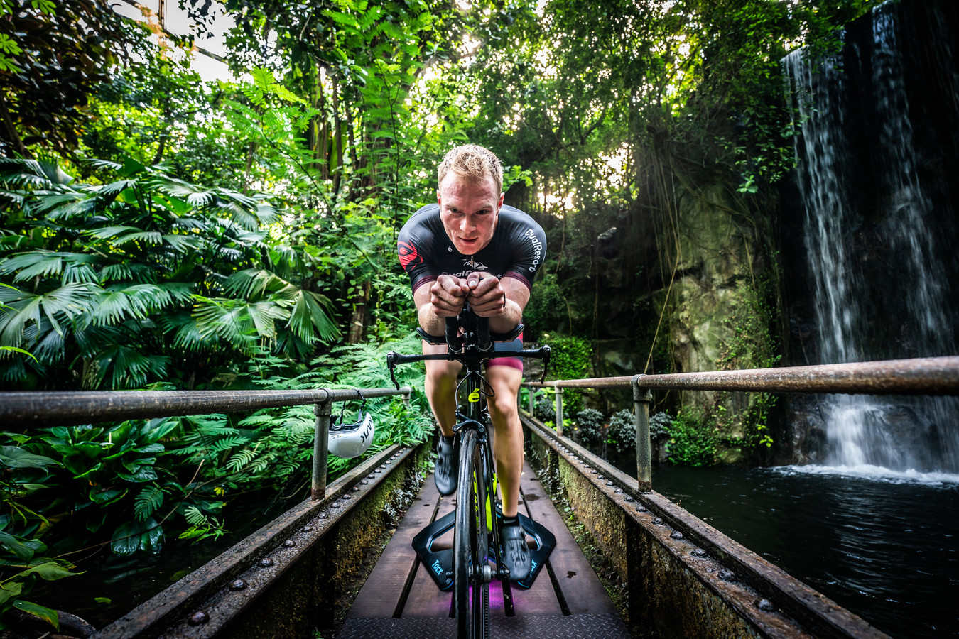 Trainen tussen de ringstaartmaki’s in Burgers Zoo: Olaf is klaar voor ...