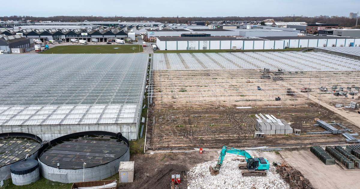 Uitbreiding ABC Westland en huisvesting 400 arbeidsmigranten in Poeldijk gaat door | Westland ...