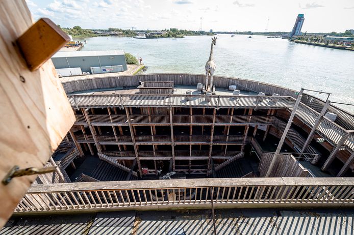 Houston, Texas nieuw reisdoel Ark van Noach | Rotterdam | AD.nl