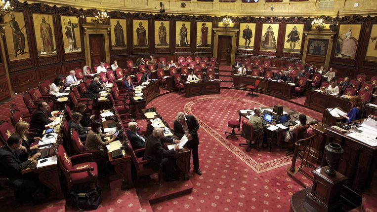 De krijtlijnen van de nieuwe Senaat | De Morgen