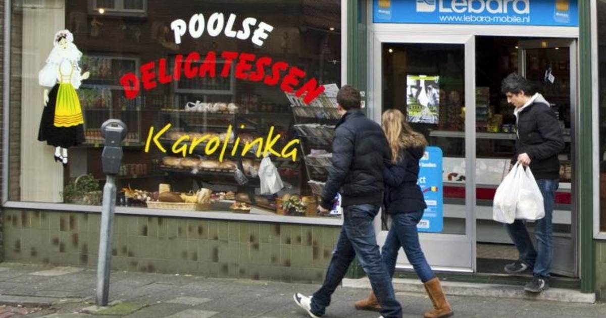 Polen zijn hier om geld te verdienen | Tilburg e.o. | bd.nl
