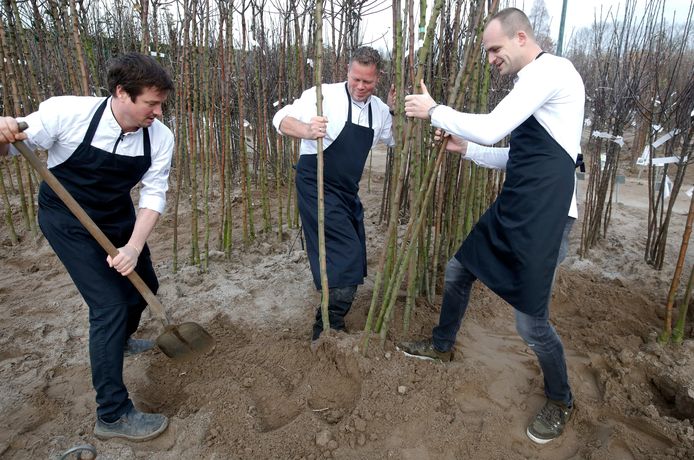 Kok Maurice staat nu tot zijn enkels in klei bomen te rooien | Neder ...