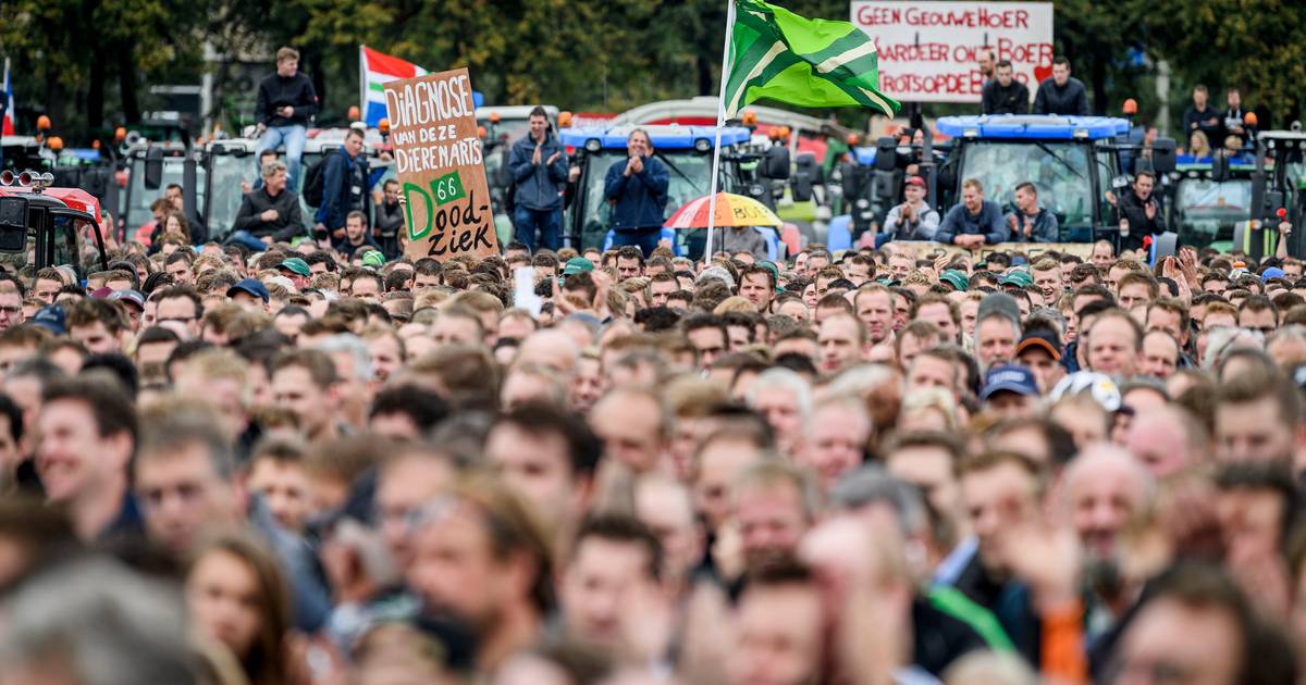 TERUGLEZEN | Boeren in protest: ‘Na vandaag kan niemand nog om jullie ...
