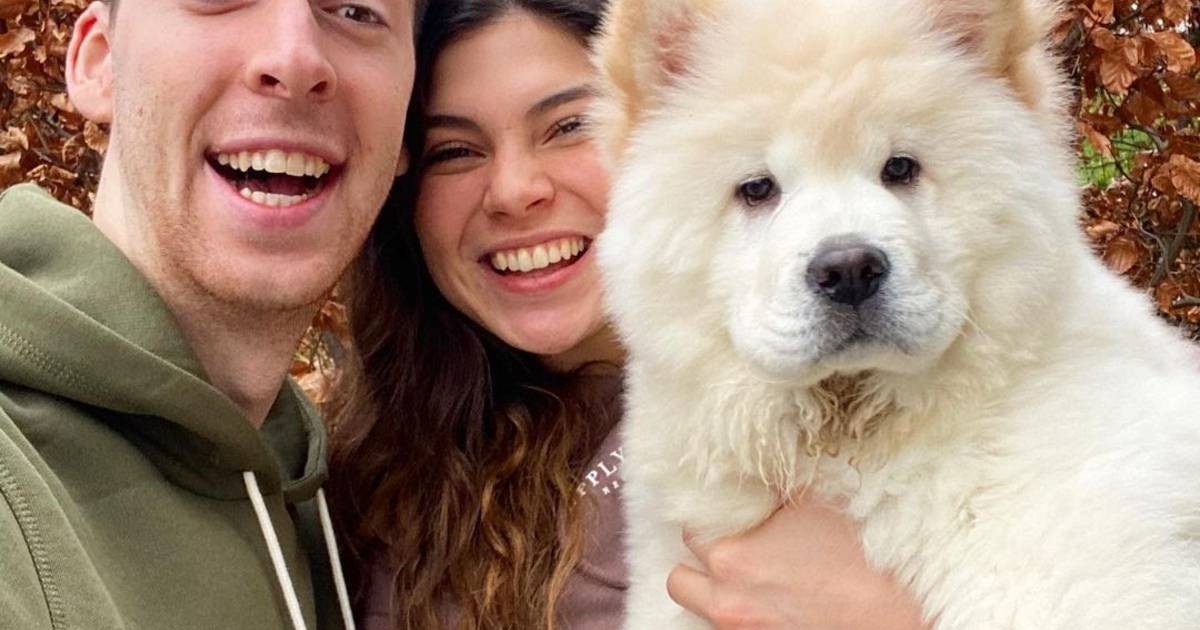 Voor je een puppy koopt, moet je dit weten over broodfokkers: “Puppy te ...