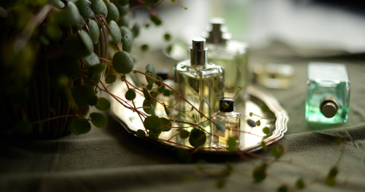 Ruiken naar natte bladeren of gemaaid hooi? Natuurlijke parfums worden ...