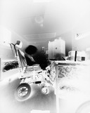 Eindig leven vastgelegd met kleine zwarte fotodoos | Foto | AD.nl