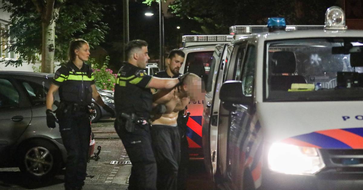 Verdachte van doodsteken Lisa (25) is vaste klant politie en justitie | Vlaardingse Lisa (25 ...