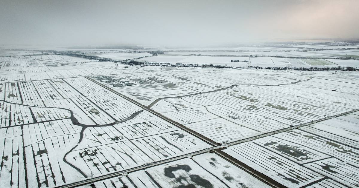 Hoeksche Waard bedekt onder eerste laag sneeuw | Hoeksche Waard | AD.nl