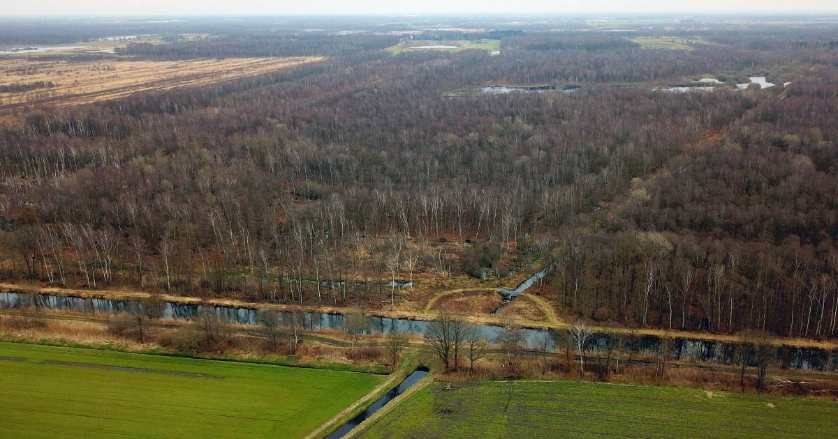 Kap 80 hectare bomen in Deurne nodig voor behoud 'topnatuur' | Deurne ...