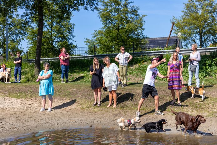 Nieuw strandje langs de Alblas ingewijd door honden | Alblasserdam | AD.nl