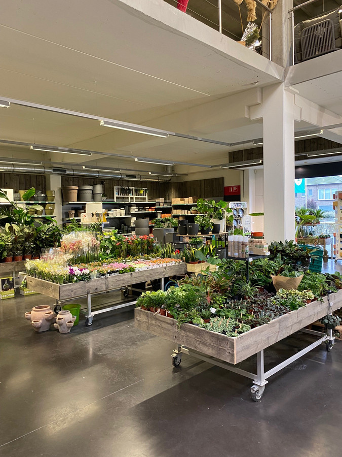 Met de hulp van deze 7 tuincentra in de Denderstreek en de Vlaamse ...