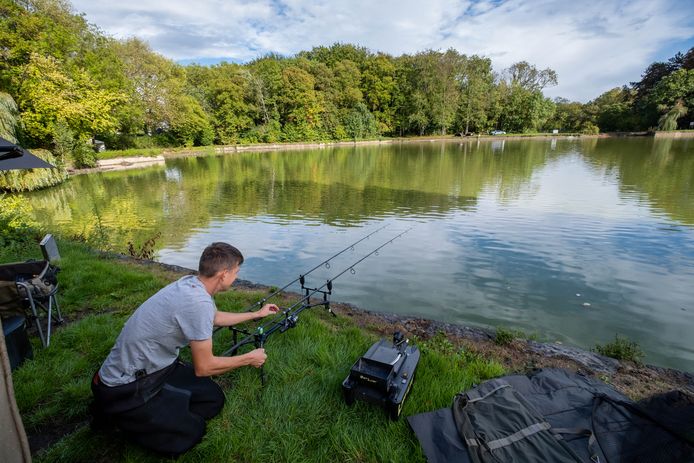Hengelaars vissen laatste karpers uit Vrijbroekpark | Mechelen | hln.be