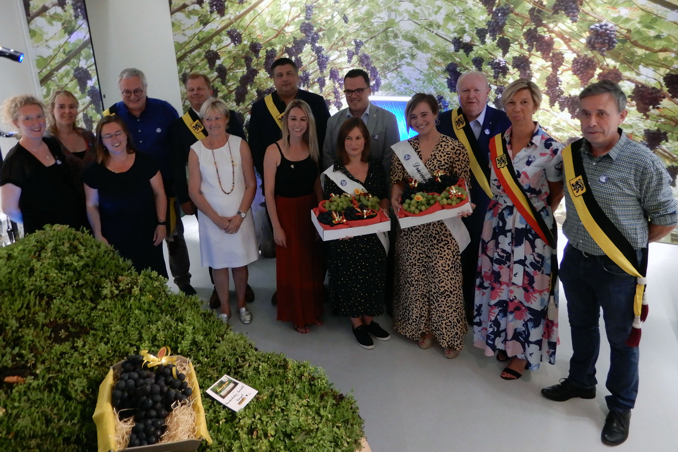 Druivenfeesten zijn ingezet met twee nieuwe vrouwelijke ambassadeurs ...