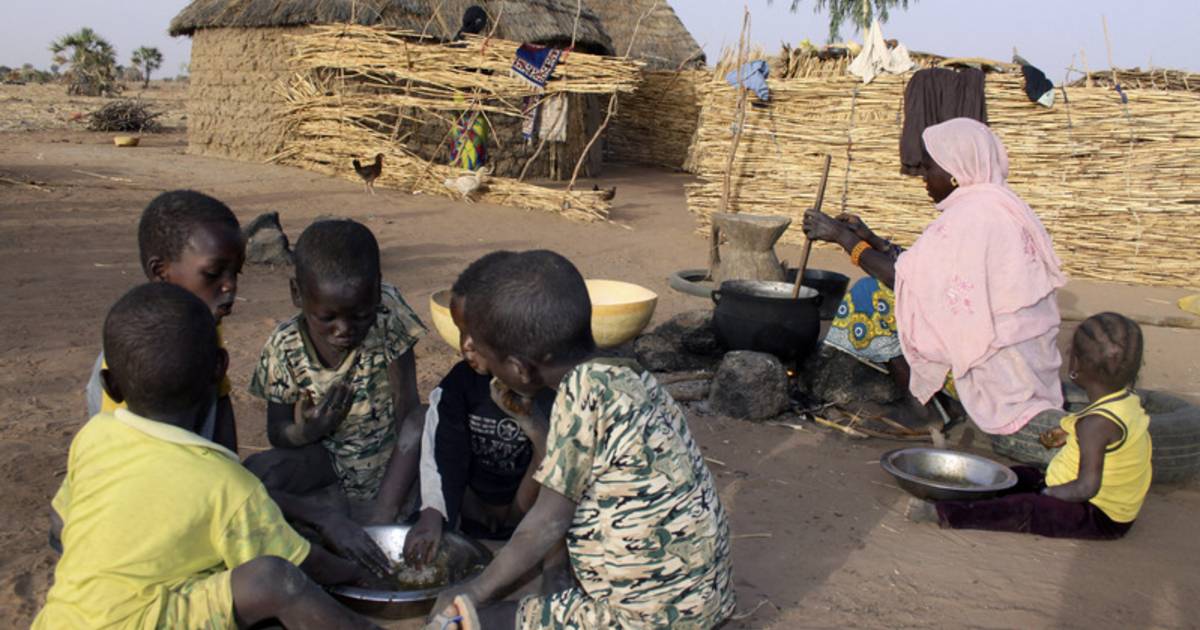 La faim menace 7,5 millions de personnes au Niger | Ecologie | 7sur7.be