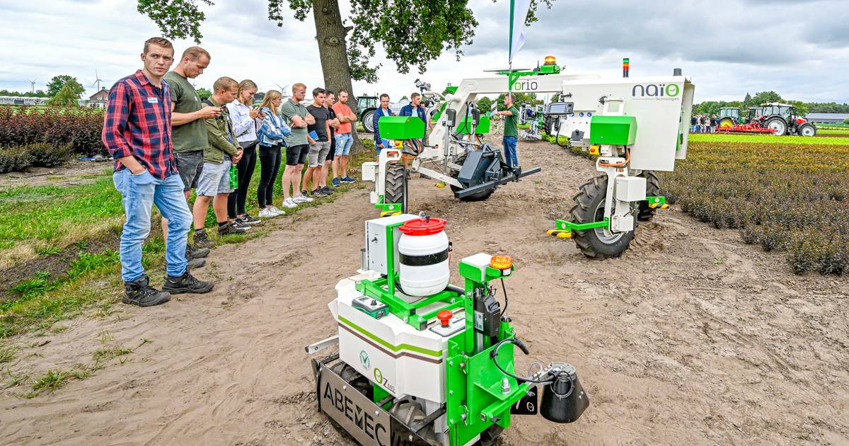 Toekomst van de boomkwekerij? ‘In Zundert zul je robots zien zaaien en ...