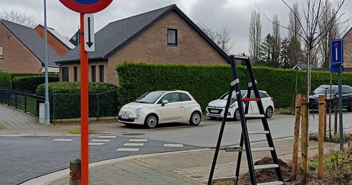 Parkeerverbod moet verkeersveiligheid in Driedostraat verbeteren | Oud ...