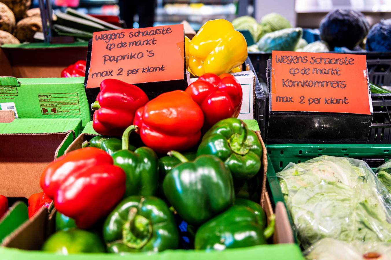 Tekort en dure groenten door mislukte oogst en hoge gasprijs ...