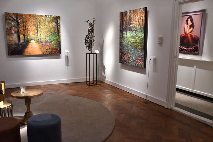 Het bos komt tot leven in het werk van Tos Kostermans | Oisterwijk | AD.nl