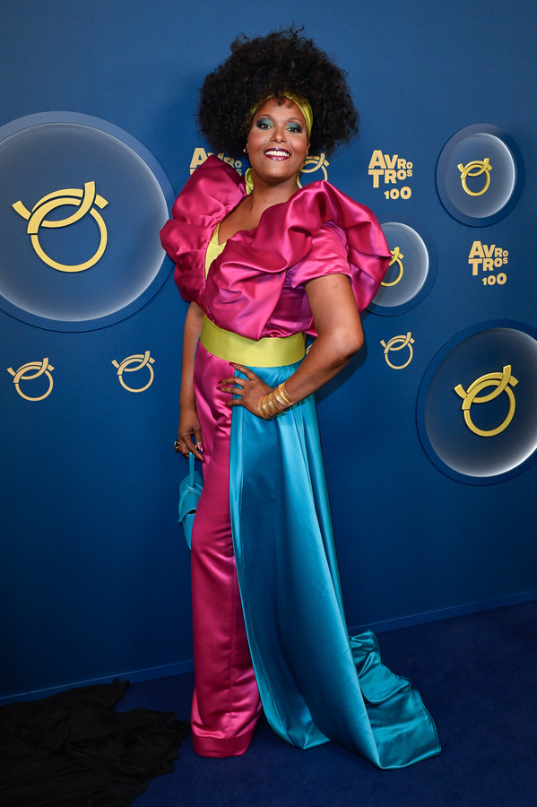 Bekend Nederland in vol ornaat op blauwe loper van het Gouden ...