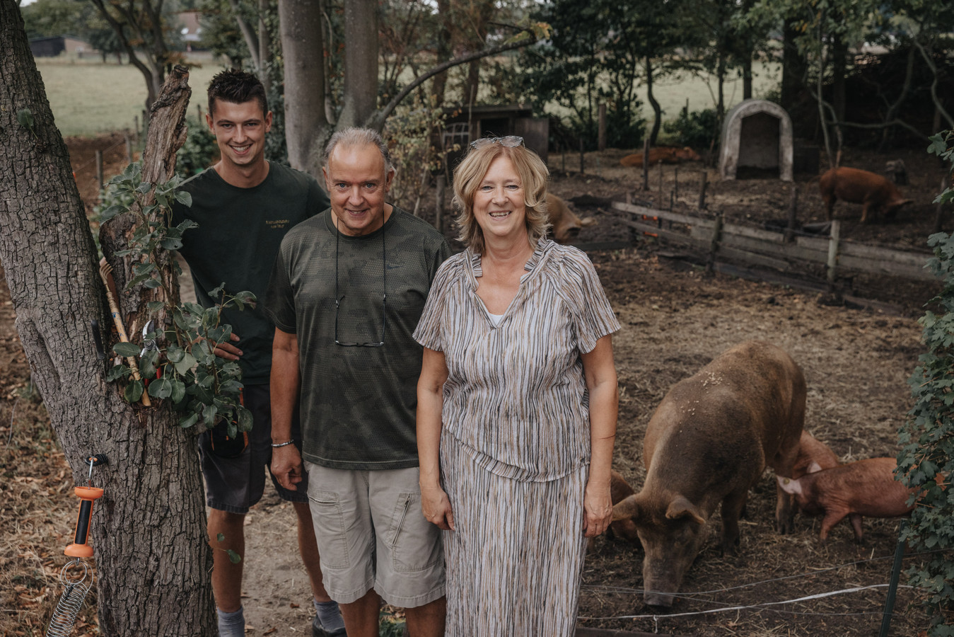 Vleesboerderij in Schijf is het walhalla voor varkens: ‘En ze kijken ...