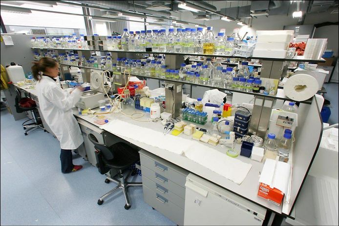 Wetenschappers ontdekken nieuwe manier om tumorgroei af te remmen ...