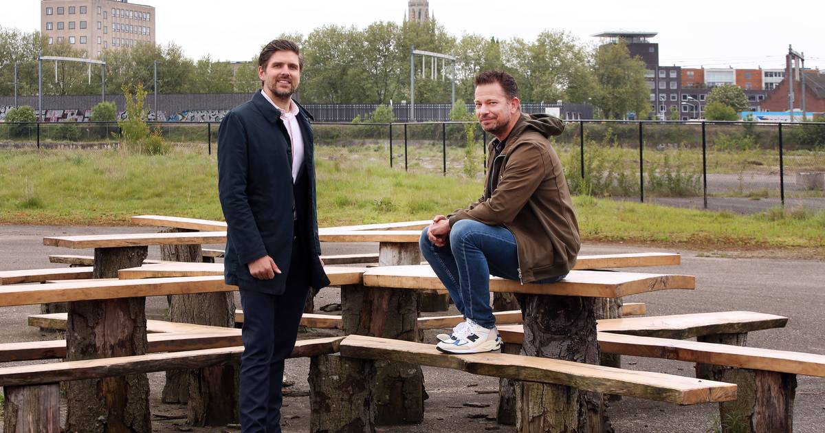 Desolaat CSM-terrein wordt geen stadspark, maar evenemententerrein (en ...