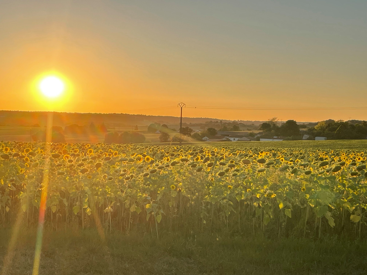 Dit zijn de mooiste zomerfoto’s van dit moment! | Foto | AD.nl