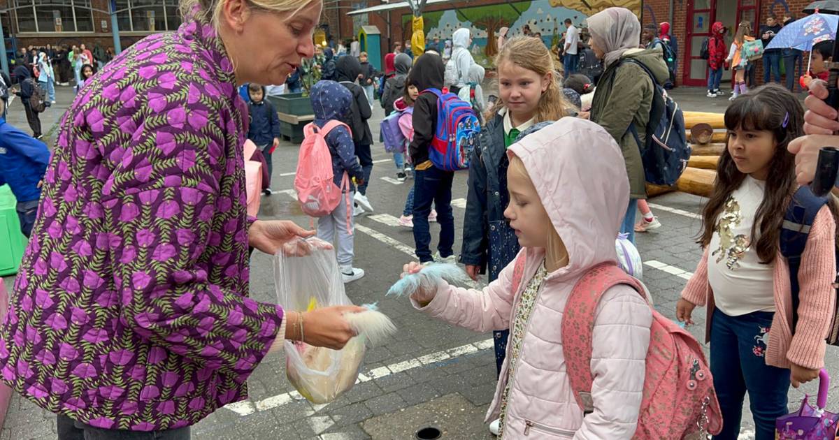 Geen rode loper voor leerlingen Sint-Jozef, wel een dikke pluim voor ...