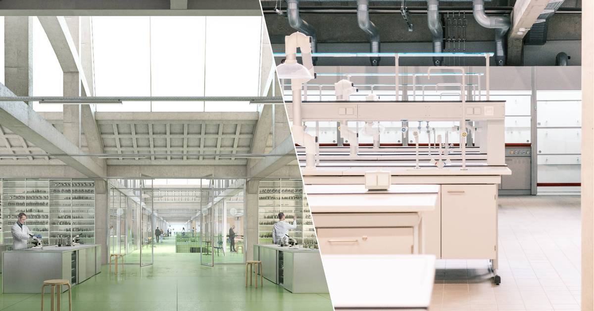 Binnenkijken in de nieuwe campus Hallen van AP Hogeschool op den Dam ...