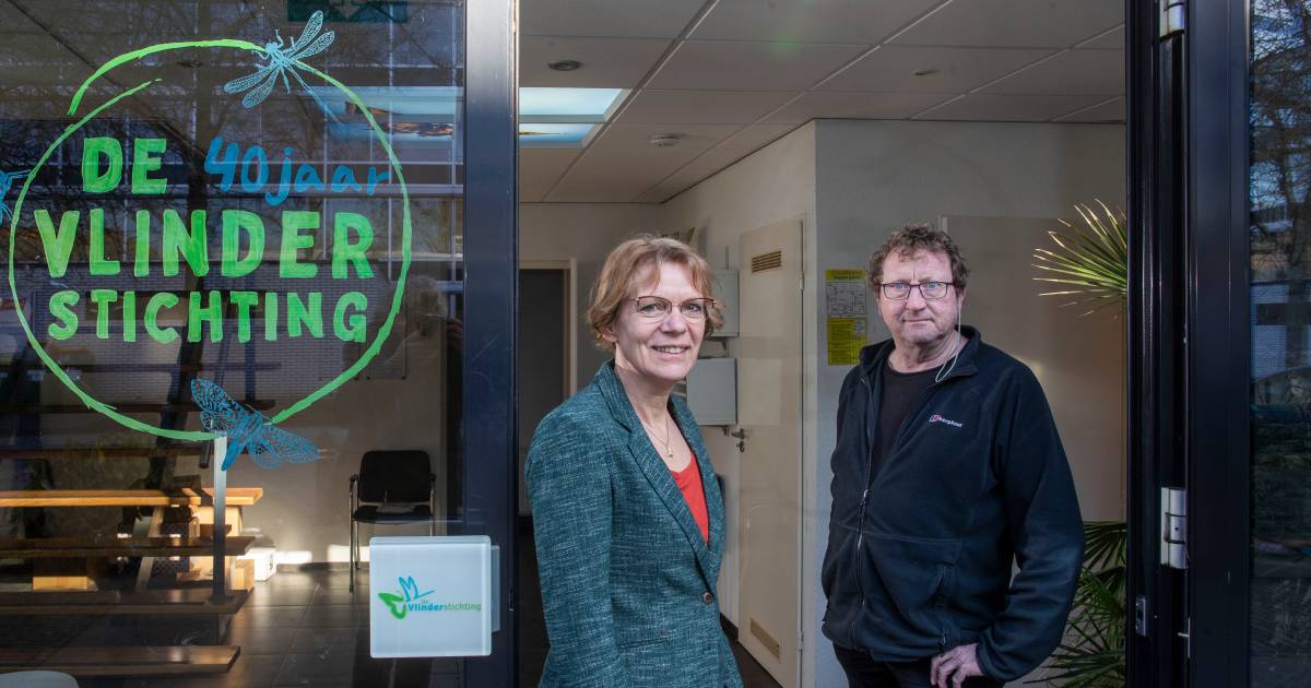 De Vlinderstichting zet zich veertig jaar in voor vlinders: ‘Maar we ...