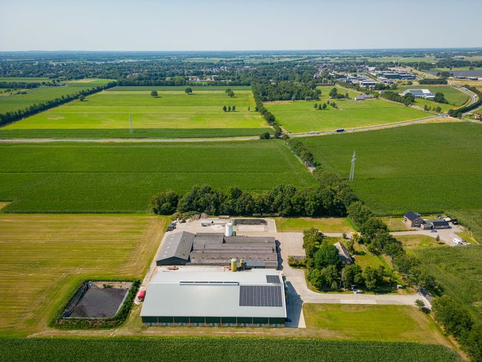 Almelo staat komst megastal met 16.000 varkens in Aadorp toe, maar is dat nog wel van deze tijd ...
