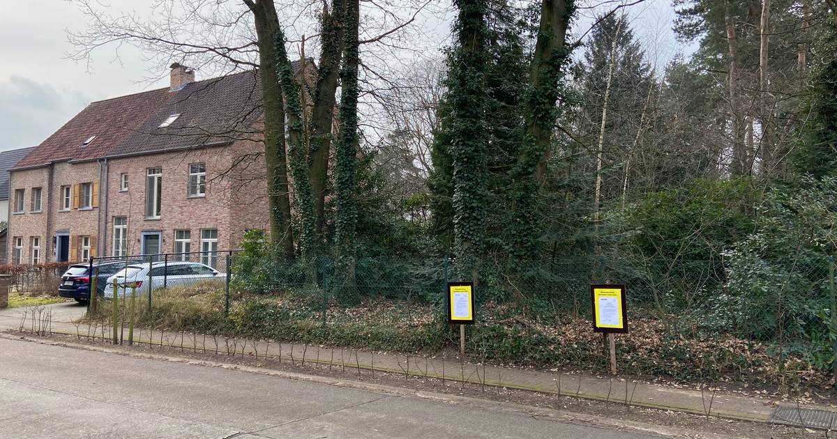 Njet voor 29 nieuwe eengezinswoningen in Halle-Zoersel: “Te dicht opeen ...