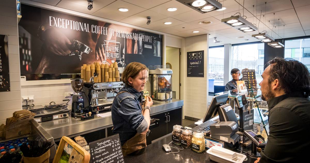 Project Caffeine Dealers: carrièreplannen in de koffie | Eindhoven | ed.nl