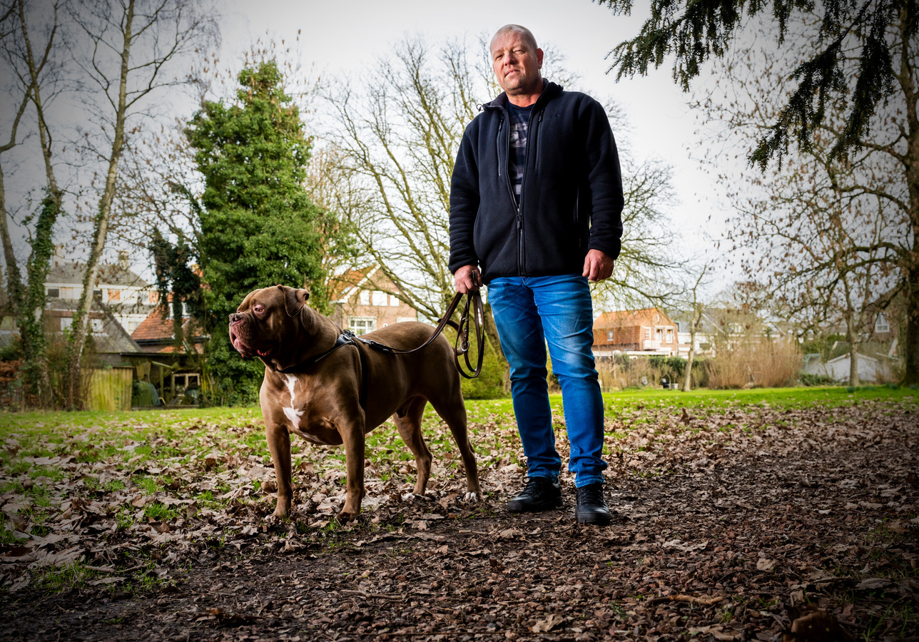 Het bizarre verhaal van Ronald (55): hoe hij per ongeluk bij een partij ...