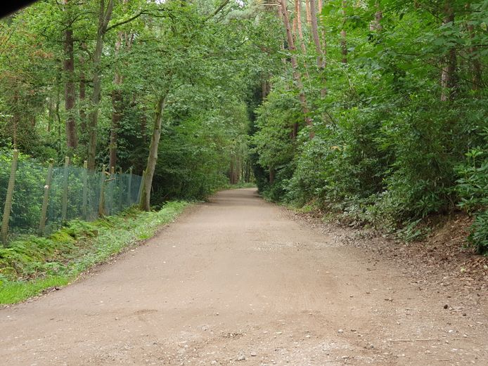 Code rood in bos- en natuurgebieden: vuurkorven en BBQ'en wordt ook ...