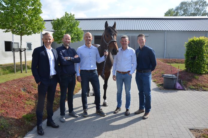 Wereldvermaarde paardenkliniek De Bosdreef stapt in huwelijksbootje met ...