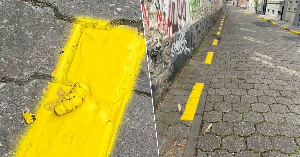 Hilarisch! Ook hondendrol krijgt geel jasje na aanbrengen nieuwe ...