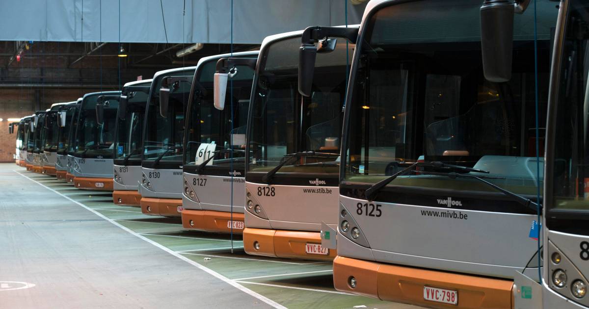 La STIB change les itinéraires de sept lignes de bus | Belgique | 7sur7.be