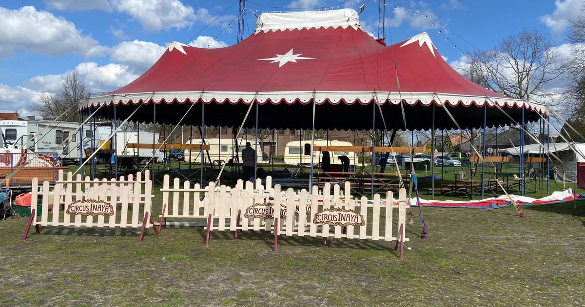 Nieuw circus strijkt neer in Sint-Antonius Zoersel: “Klassieke acts in ...