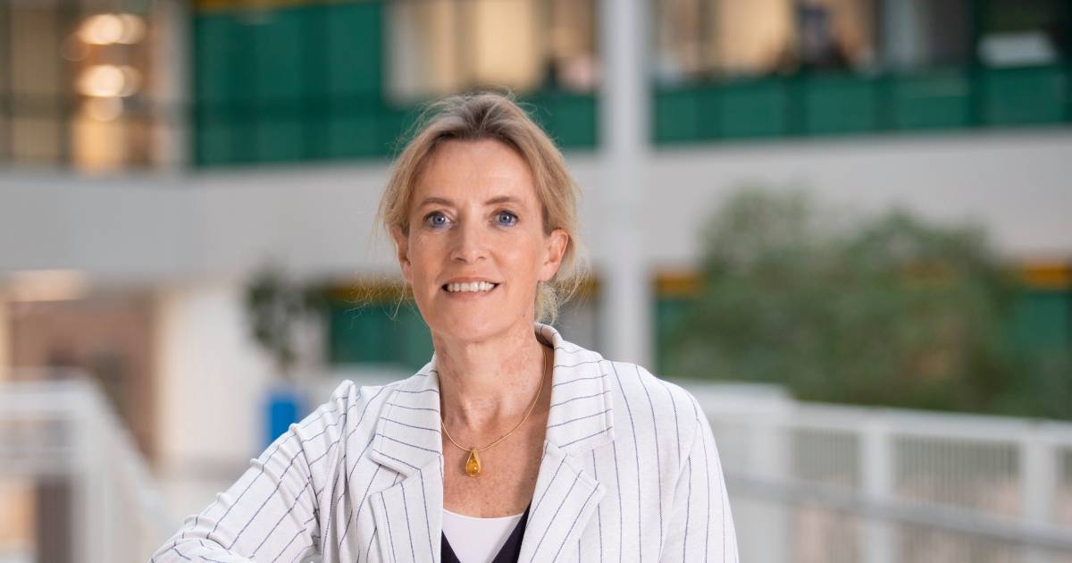 Bestuursvoorzitter Rijnstate nu ook lid van raad van toezicht van het ...